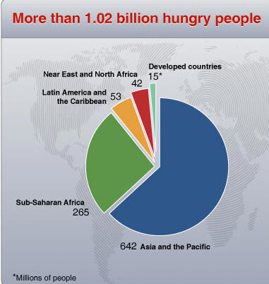 World Food Crisis : World Hunger Facts 2009 World Hunger Ed...