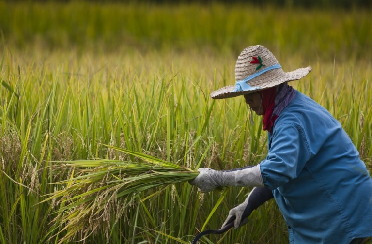 Asia photos - World Hunger News