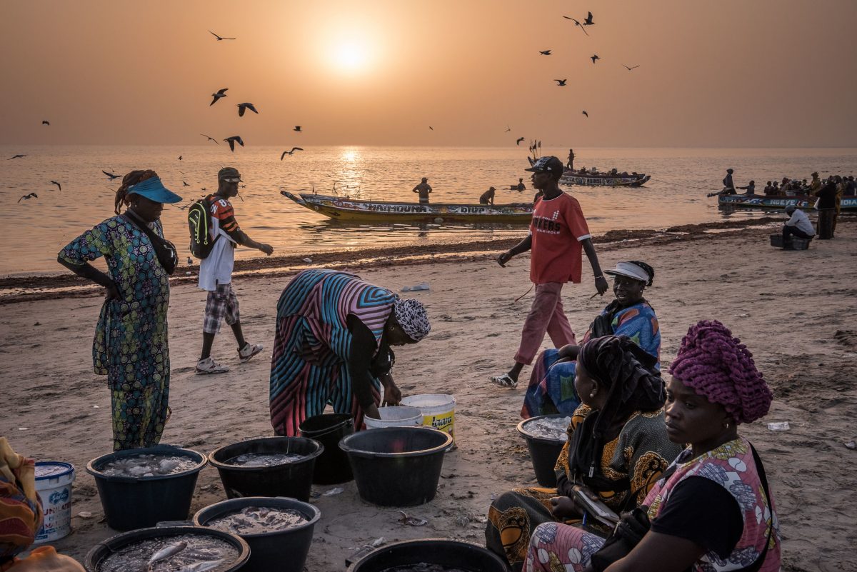 China’s Appetite Pushes Fisheries to the Brink - World Hunger News