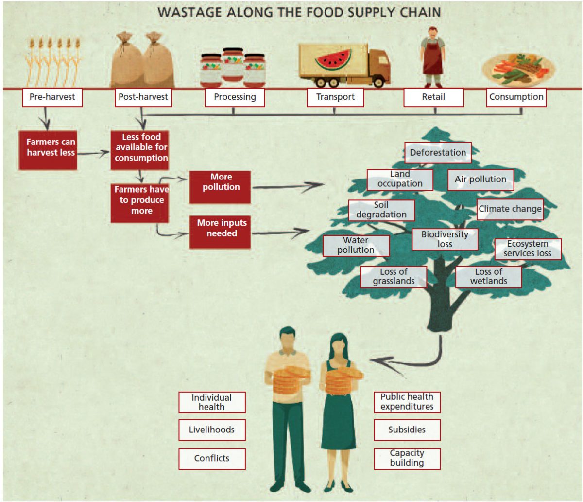 Food Loss and Waste in the United States and Worldwide - World Hunger News