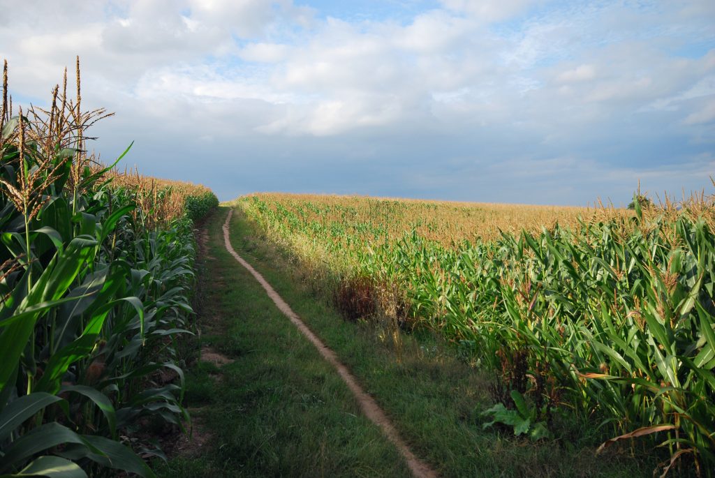 MAZON Congressional Briefing Addresses Hunger Crisis In Rural America ...