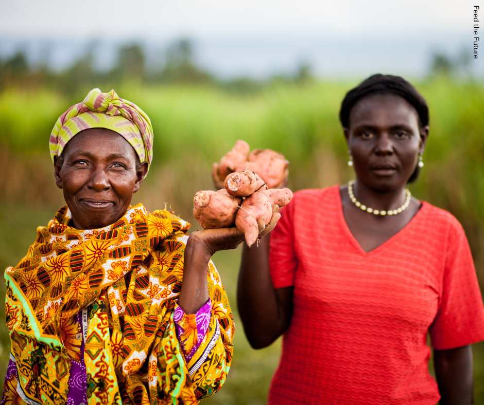 Africa: Hunger Statistics and Facts - World Hunger News