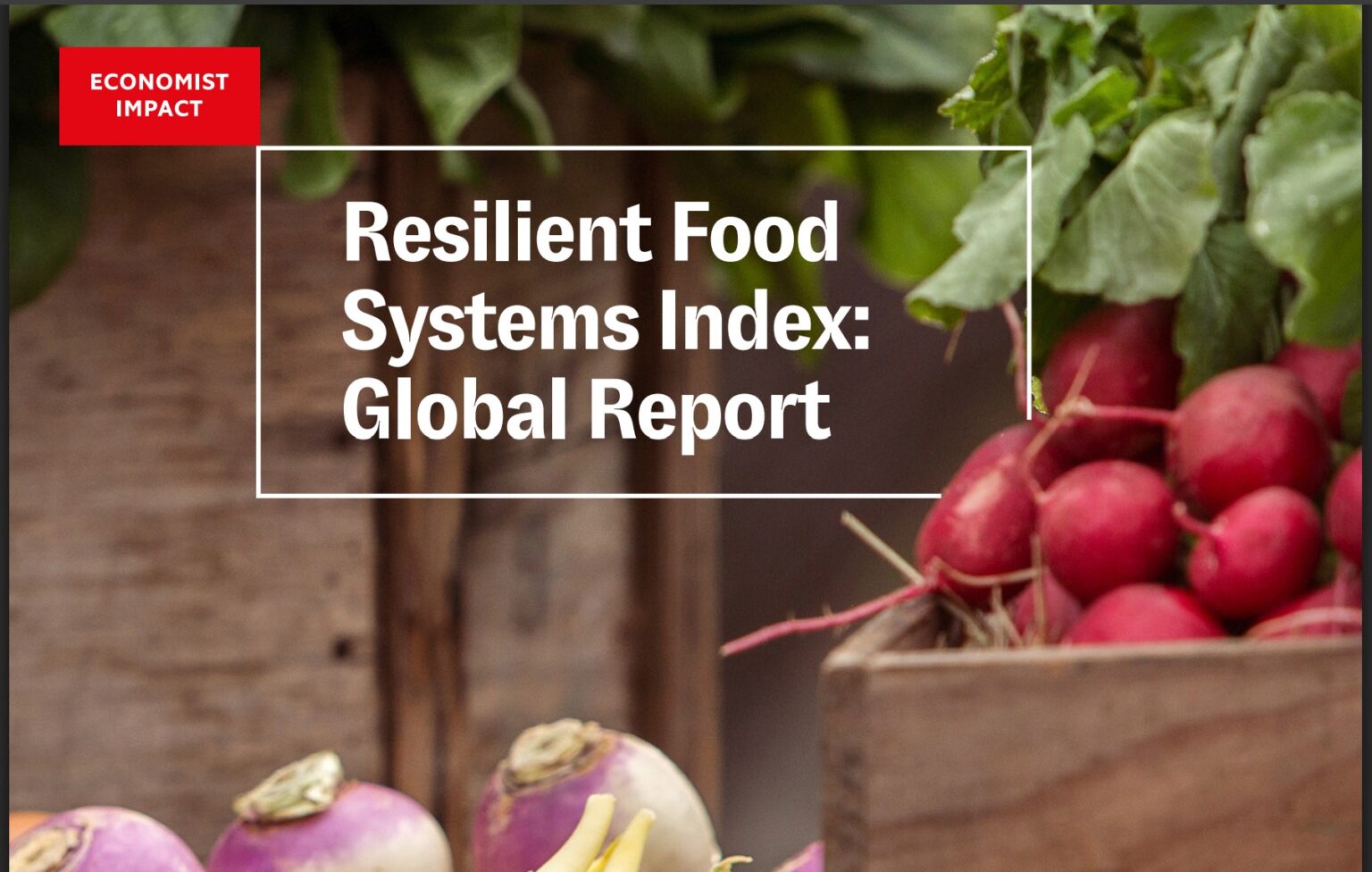 New Global Survey of Food Resilience, by the Economist - World Hunger News